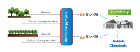 Biorefinery | Renergi Pty Ltd